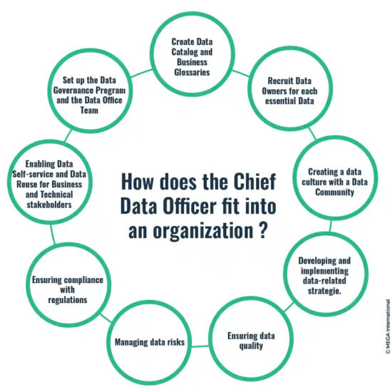 Battle Royale: Chief Data Officer vs. Chief Information Officer | PROYA